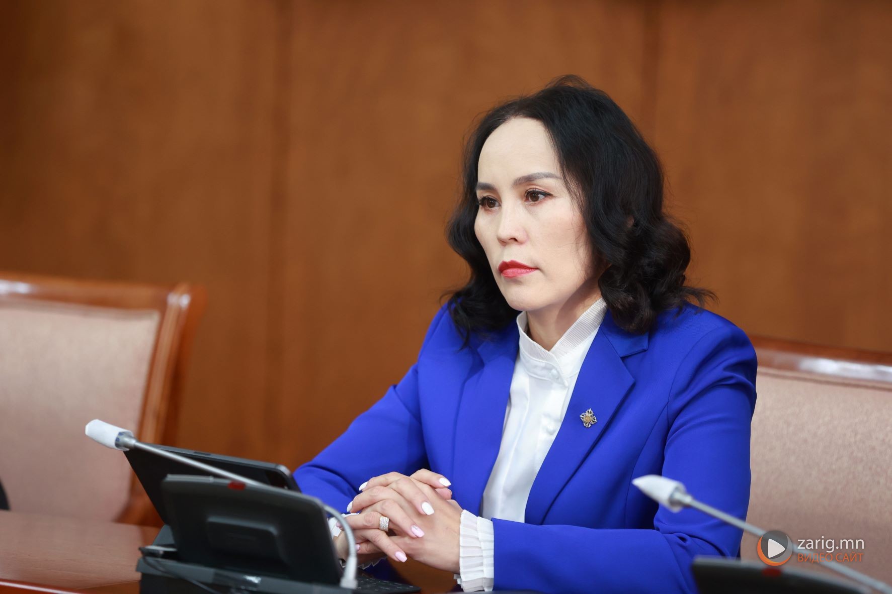 Ц Мөнхцэцэг Улс төрийн намд бодлого боловсруулахад нь төрөөс жил бүр