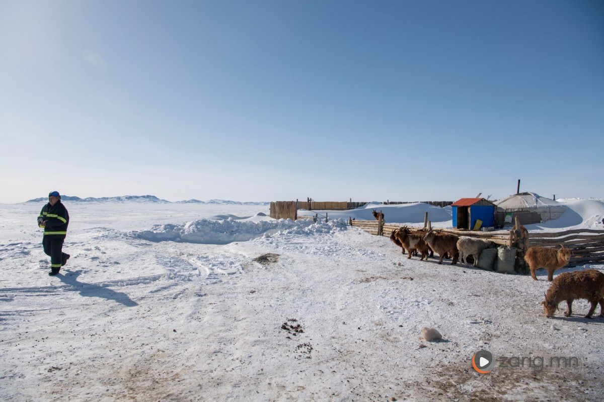 Зудын урьдчилсан төлөвөөс харахад мал өвөлжилт нийт нутгийн 4 хувьд нэн их, 17 хувьд их ...